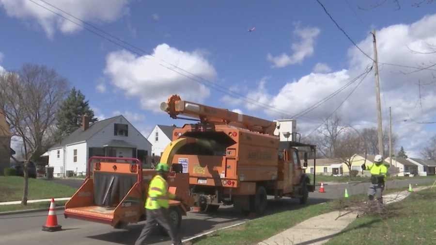 Precautions AEP takes to prevent storm outages