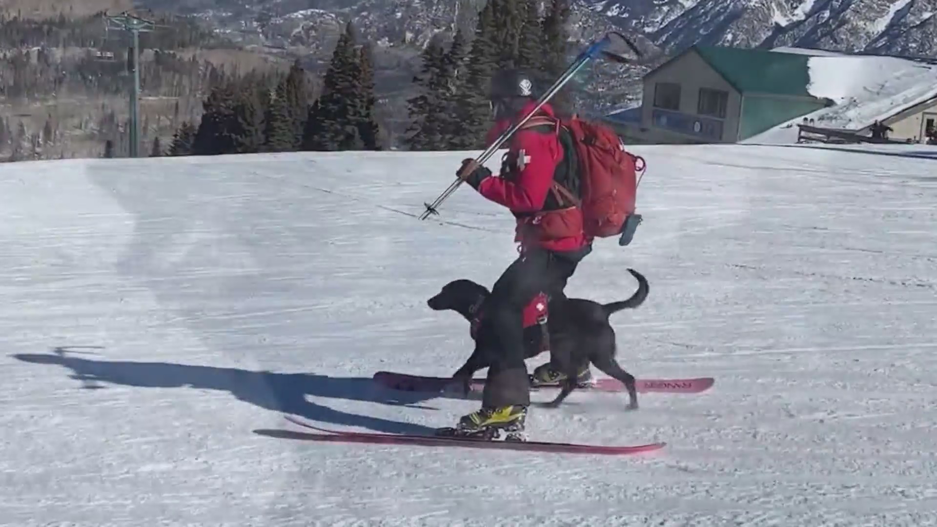 Outdoor Colorado: Meet Purgatory's avalanche dog Ember