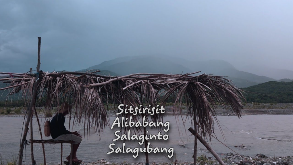 Catch & cook exotic delicacy: Salagubang Abal-Abal | Ilocano taste life
