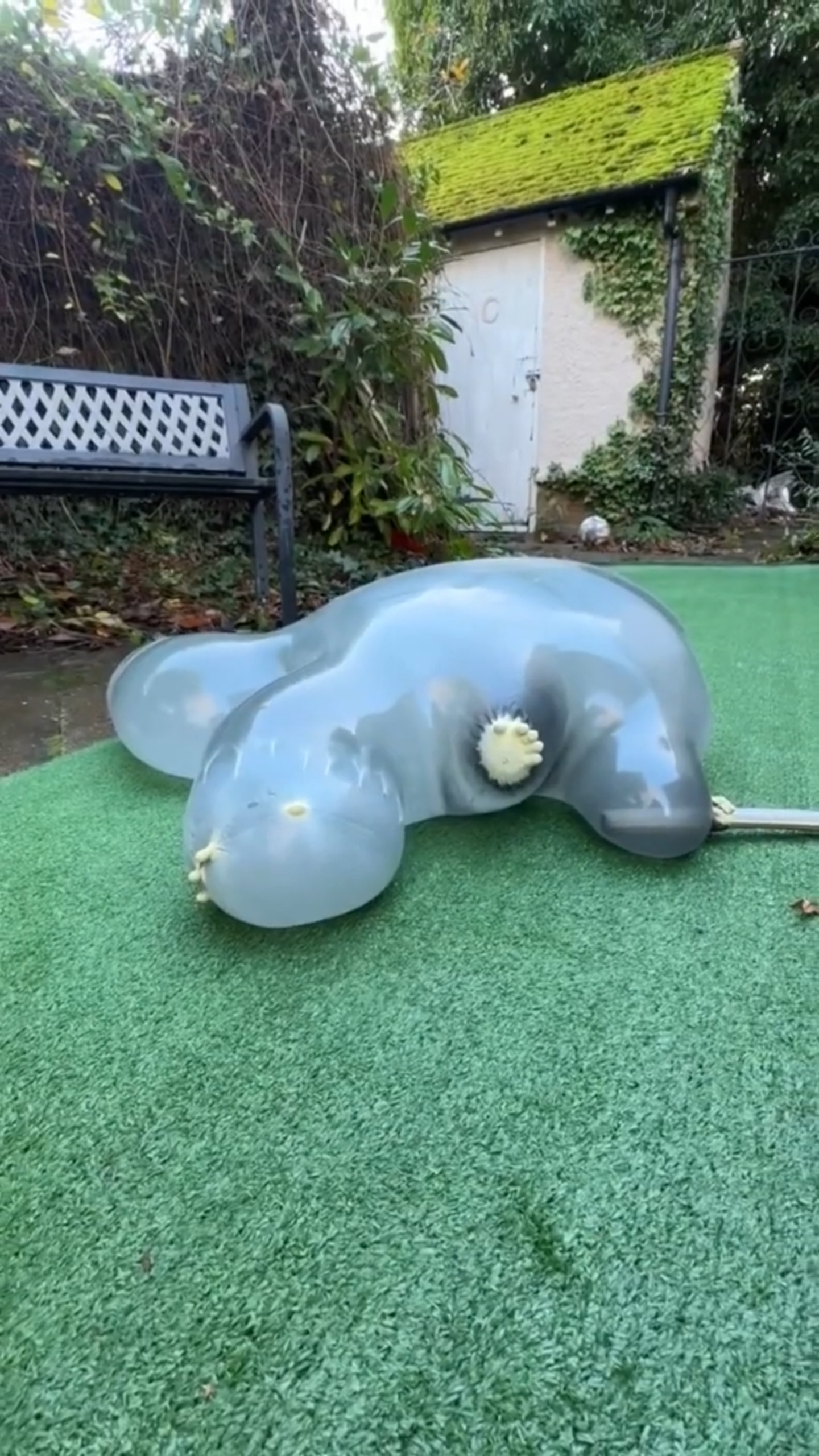 A gorilla appears in my flooded garden