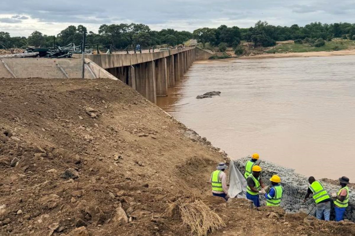 Kruger Letaba bridge reopening brings cheer to South Africa