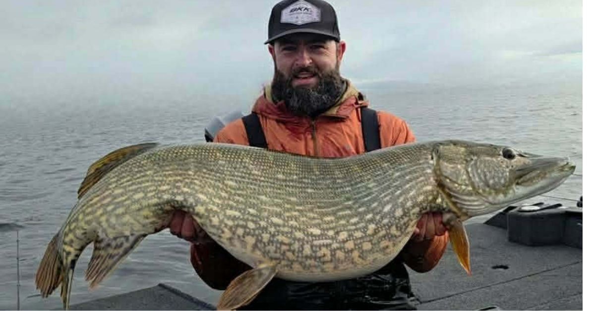 Tiny lure tricks giant pike on wild Irish lough