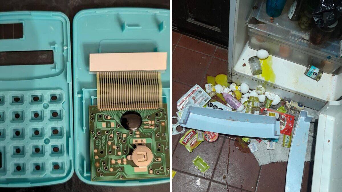 10+ mildly annoying moments that were posted online