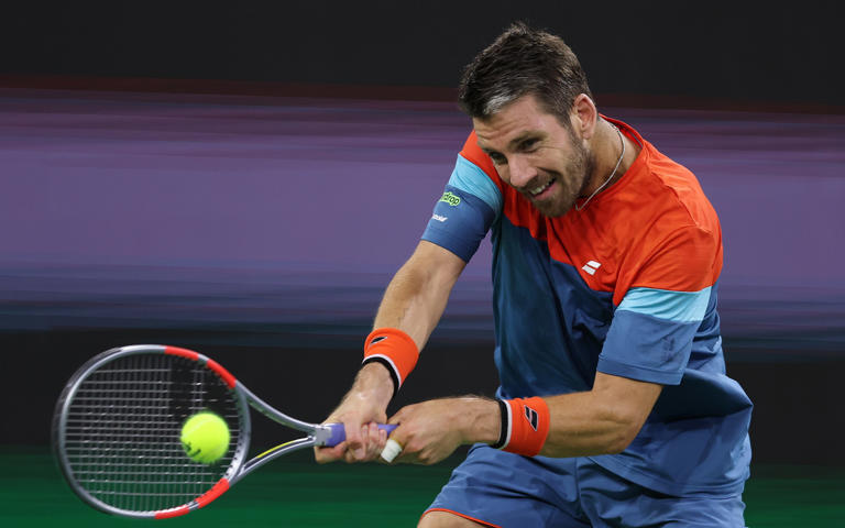 Draper loses to Medvedev at Indian Wells after hindrance call