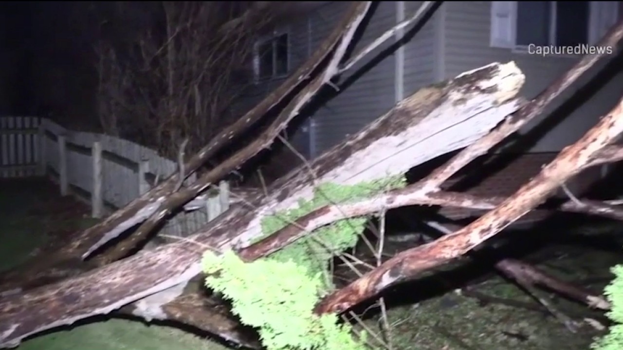 Powerful winds knock down trees in Chicago suburbs