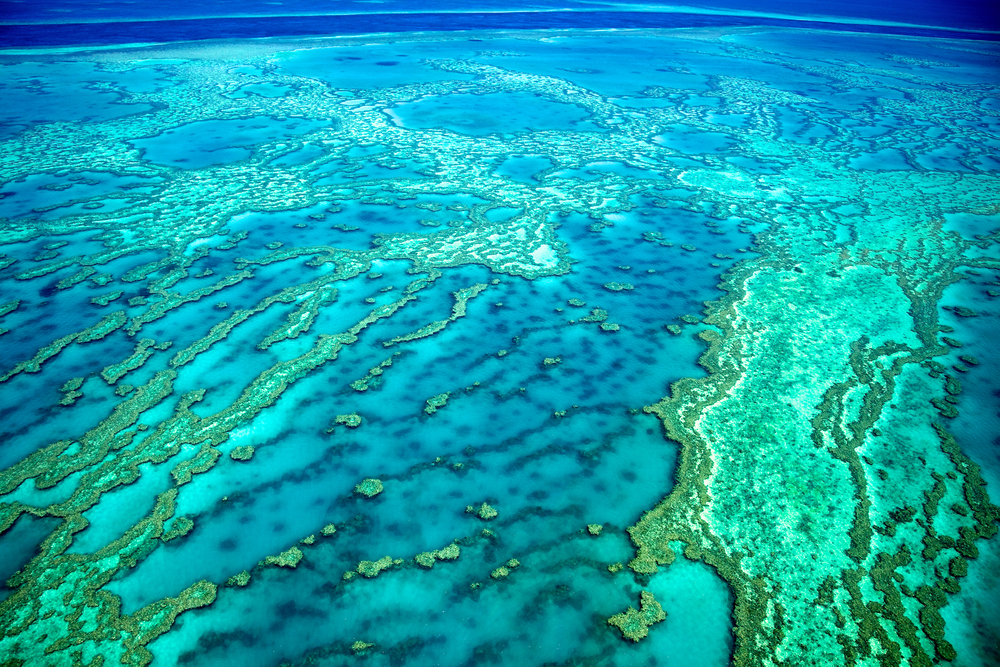 Best scuba diving sites in the world