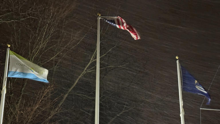 Strong winds cause power outages, bring down trees in West Michigan