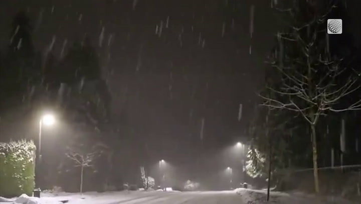 Snow falls in the Westwood Plateau neighbourhood of Coquitlam, BC