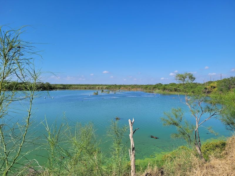 A peaceful Texas nature center that feels miles away from the city