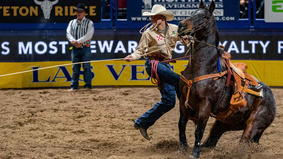 Four-time NFR qualifier crosses $1 million career earnings milestone