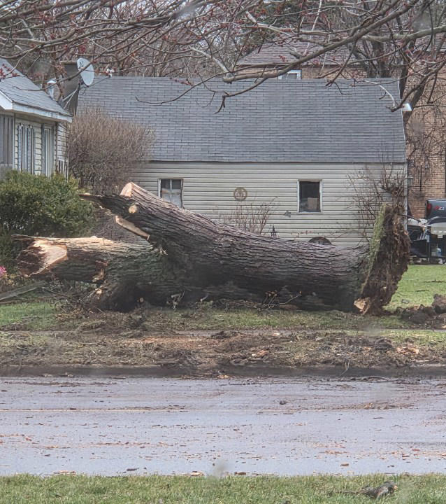 Strong winds cause power outages, bring down trees in West Michigan