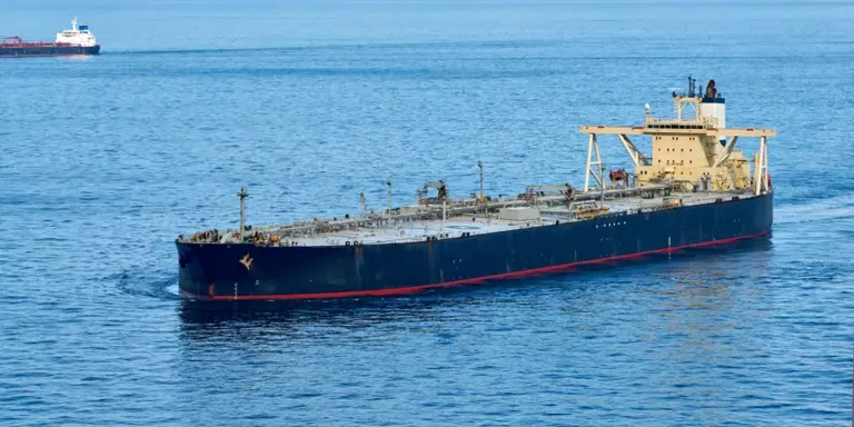 “We consider these actions illegal, bordering on international piracy ...