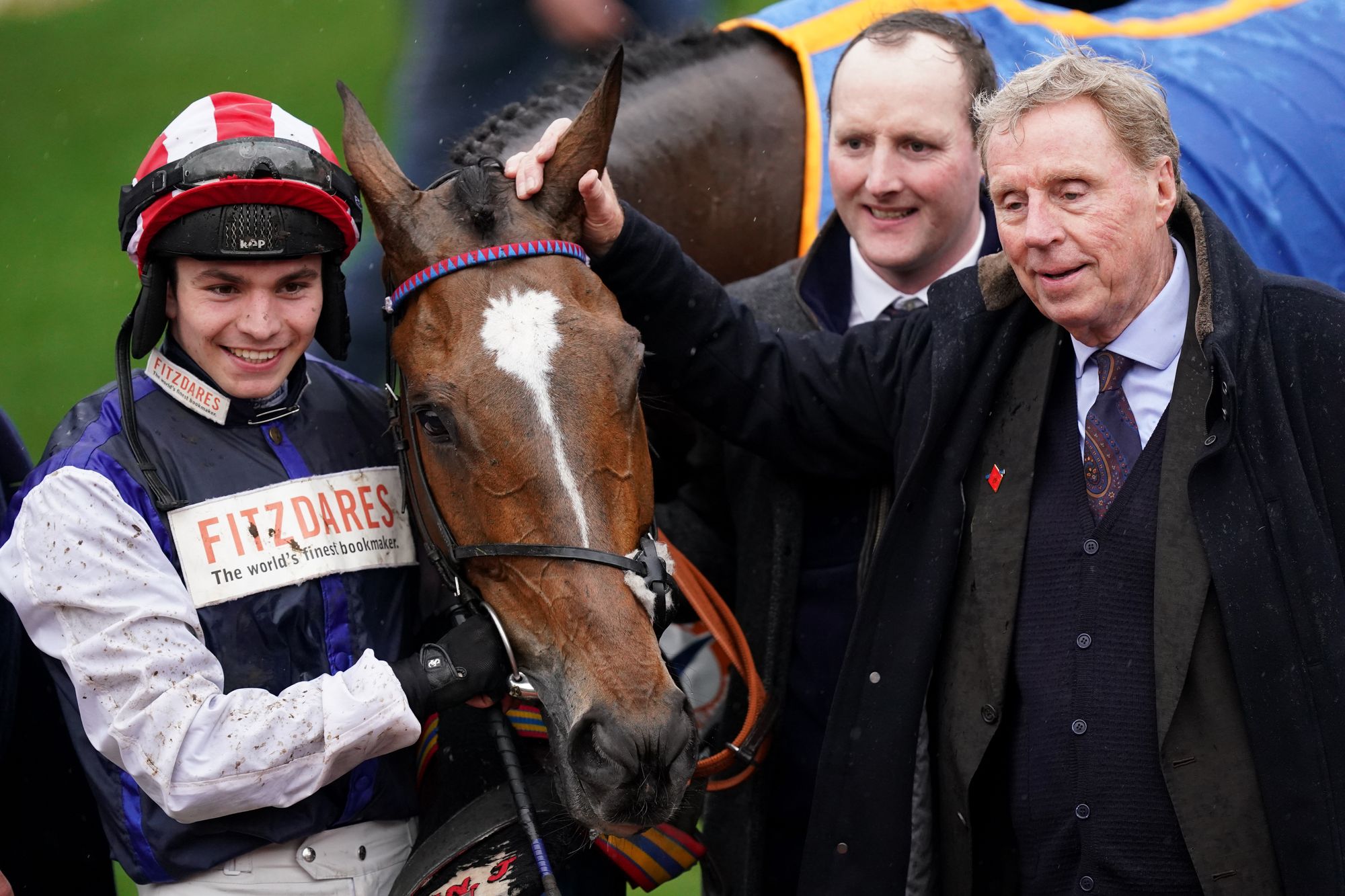 Every horse in Harry Redknapp’s stable ahead of Cheltenham Gold Cup