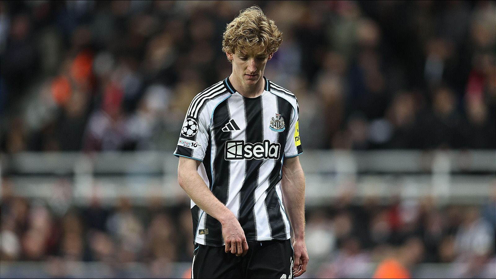 Anthony Gordon fit as Eddie Howe prepares Newcastle for Stamford Bridge ...