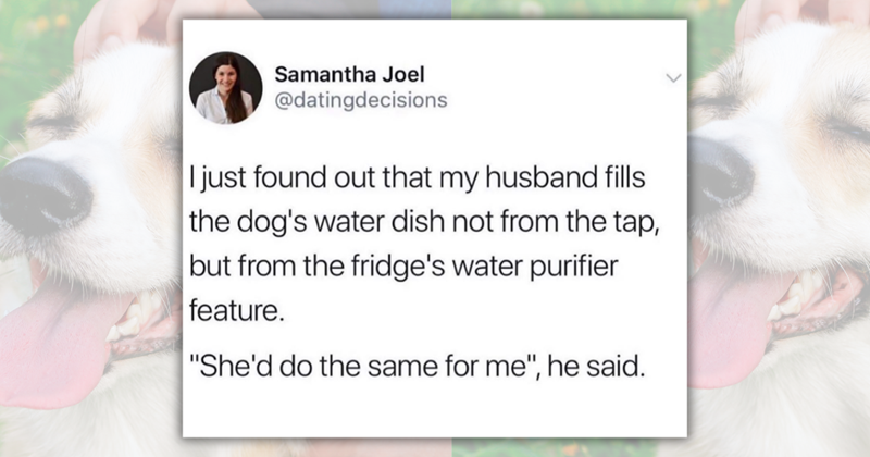 24 pupper posts for dog lovers charged with criminally cute canine devotion