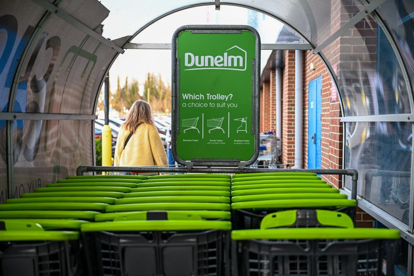 'Bring colour and life' to gardens with Dunelm's 'beautiful' £15 decoration