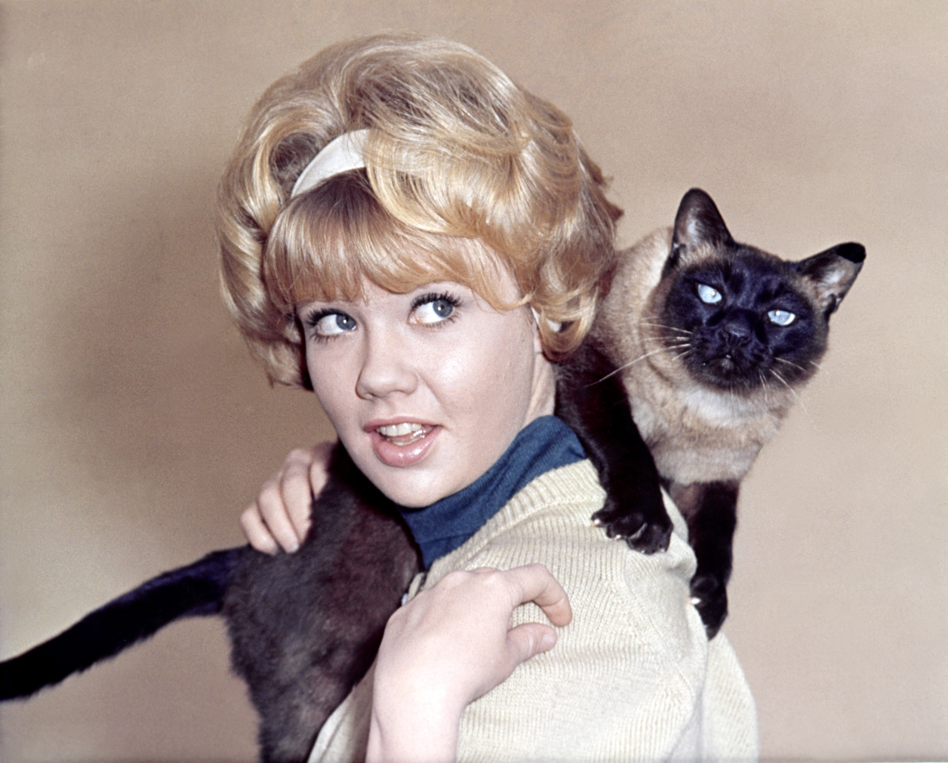Cat or dog person? It says more than you think