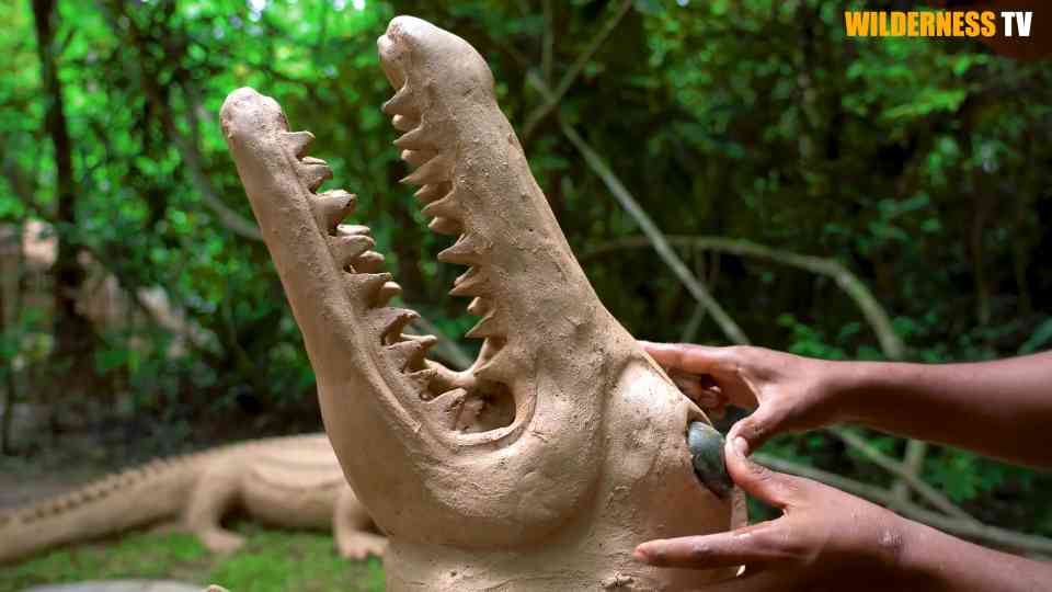 Watch rescued fish and a young crocodile finally get a safe pond and ...