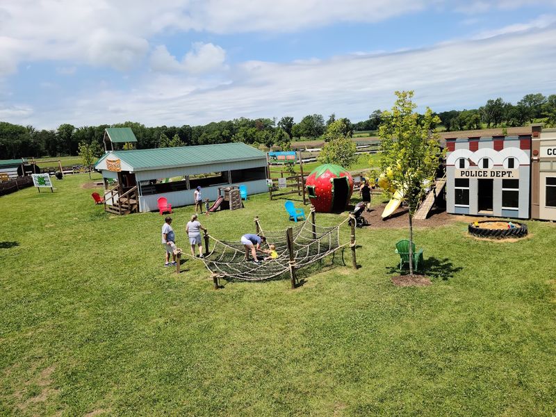 This Indiana fun farm features 40+ activities and a famous blueberry fest