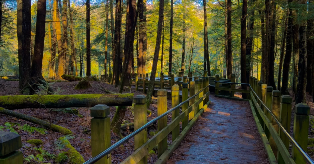3 dreamy Maryland Airbnbs that sit steps from a roaring waterfall