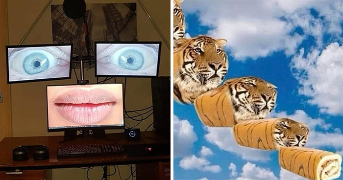 33 weird pics with zero context