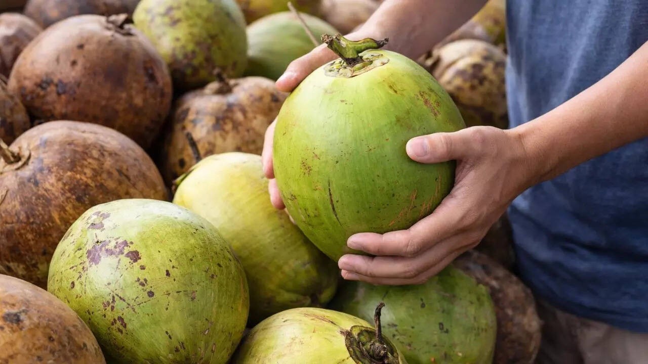 How to identify sweet coconut water before buying a coconut
