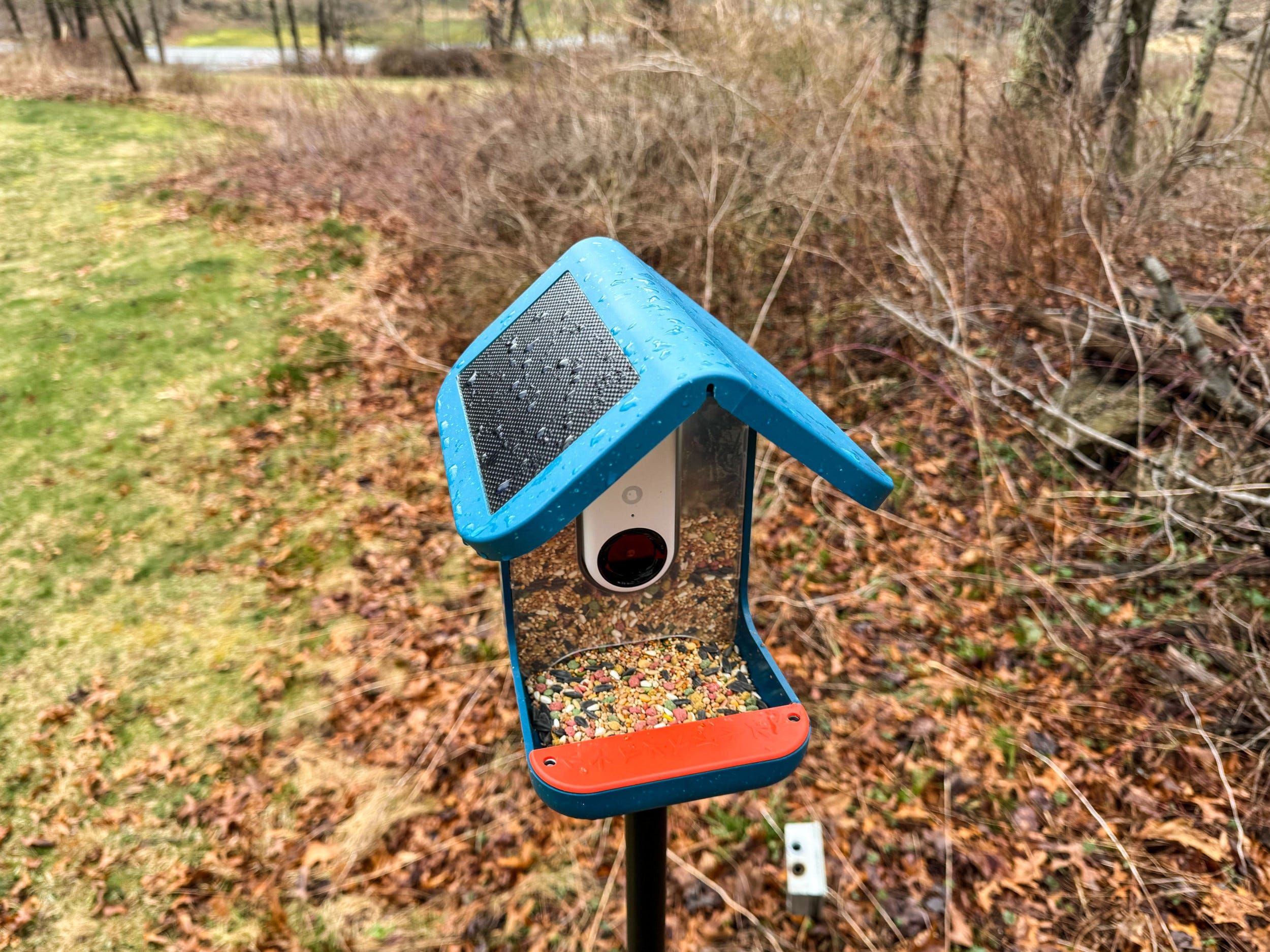 Become an amateur ornithologist in your own backyard with these smart ...