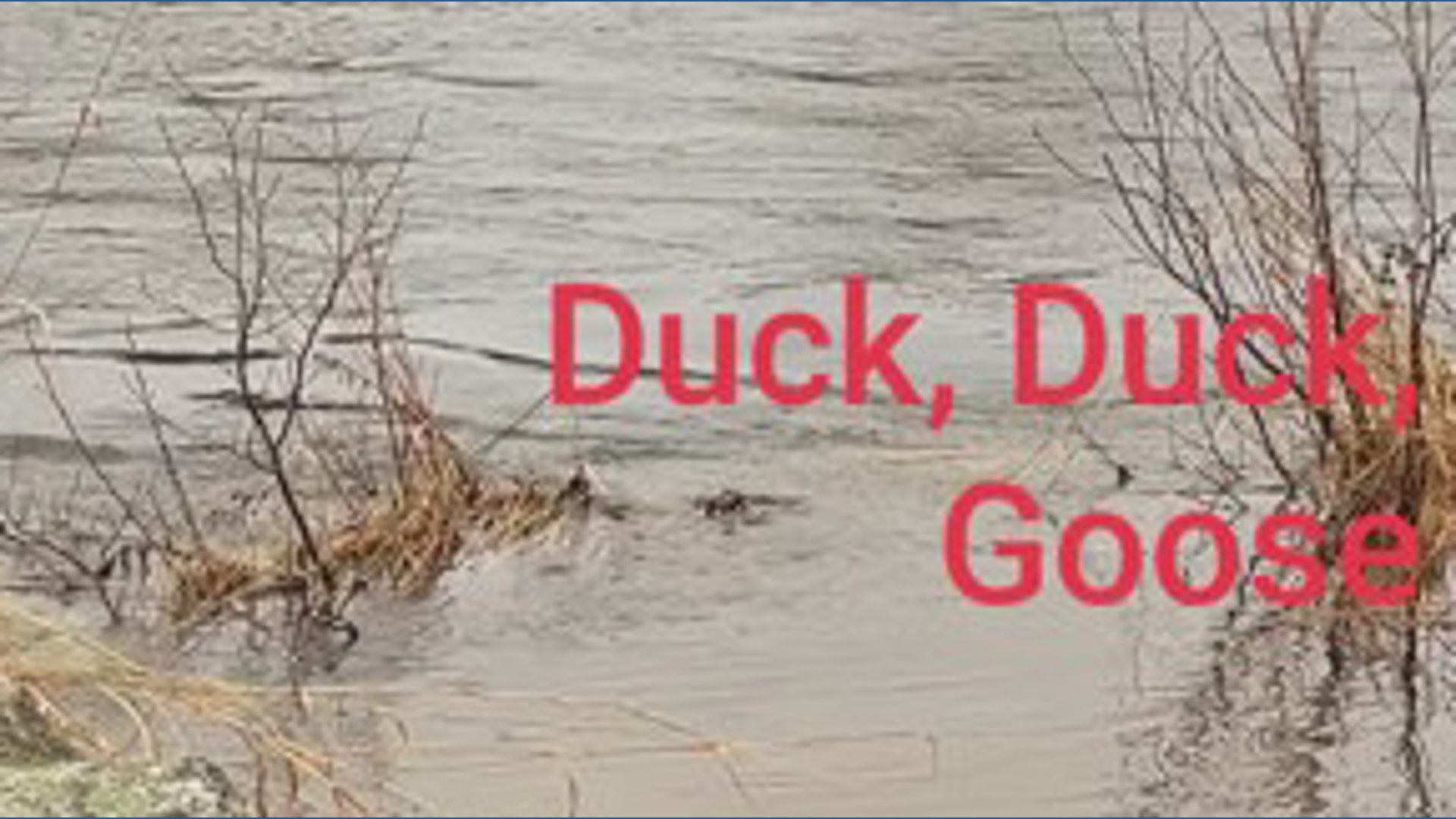 Duck, duck, goose