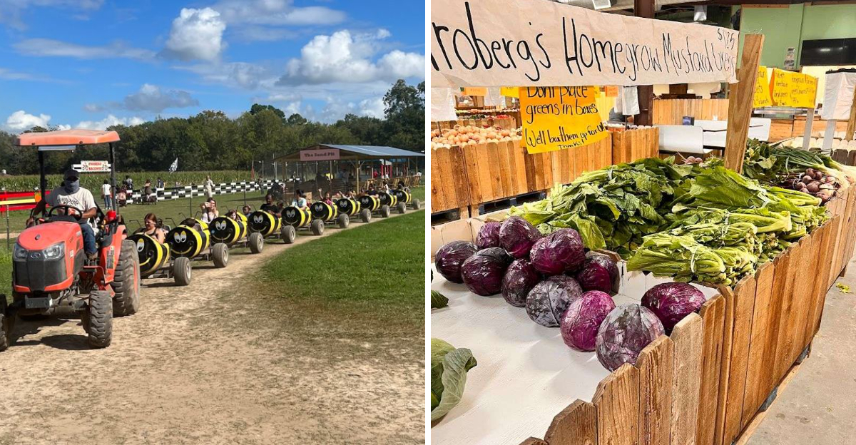 This Gulf Coast farm stand is known for sweet corn and seasonal vegetables