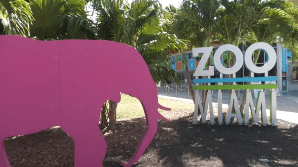 Zoo Miami closes over bomb threat believed to be swatting call ...
