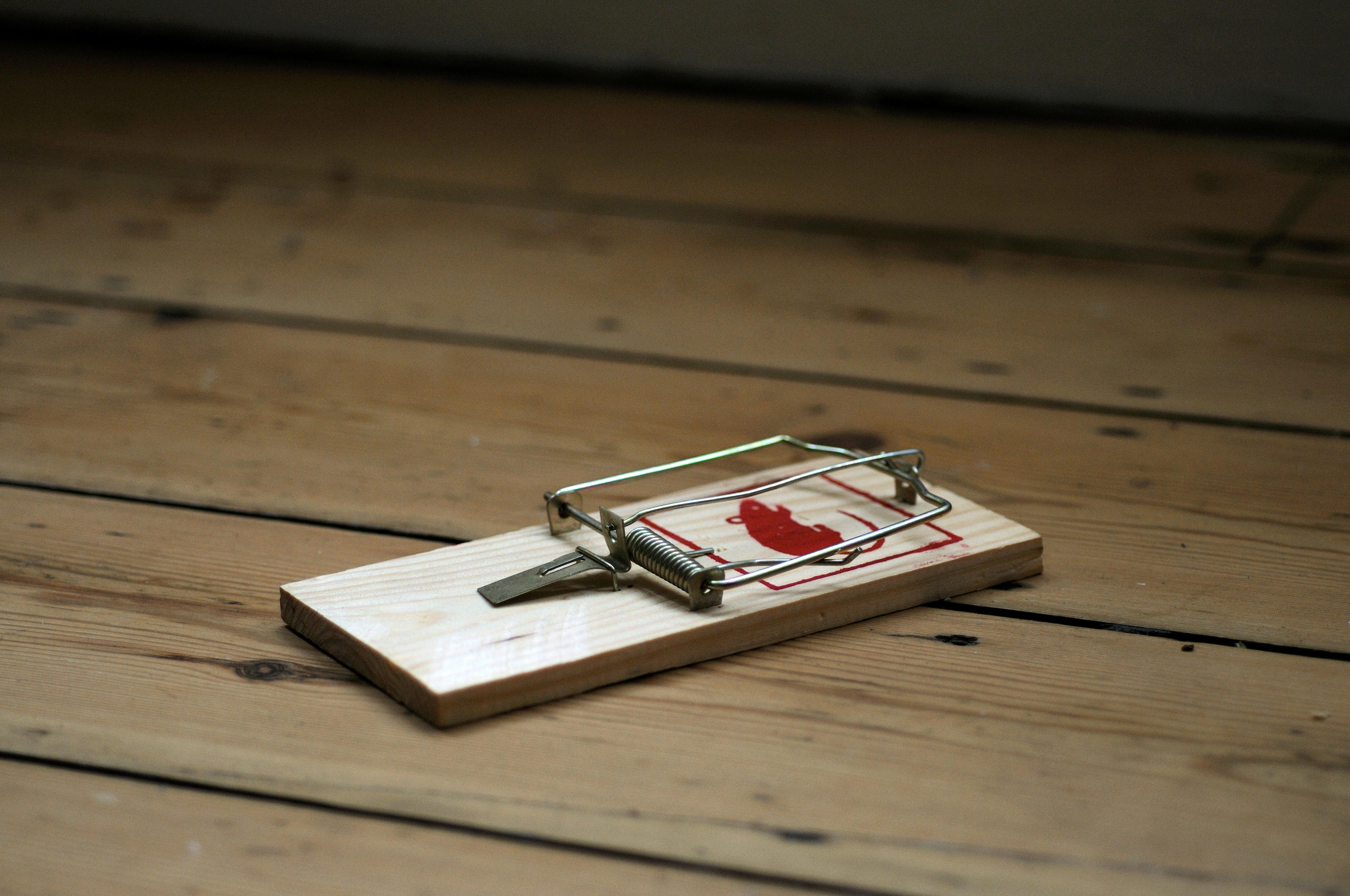 These are the best mouse traps, whether you prefer to snap, zap, or ...