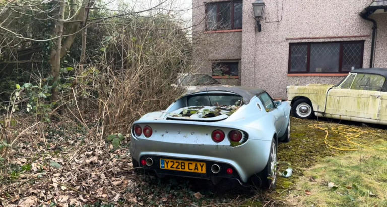 Cette maison en ruine semblait vide… mais son jardin cachait un ...