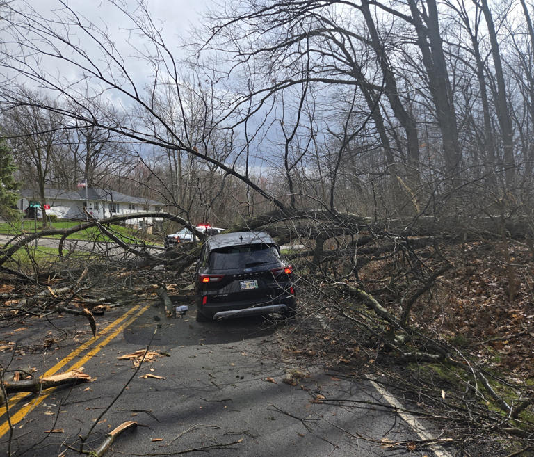 Wind damage: Gas station canopy topples; gazebo lands on home
