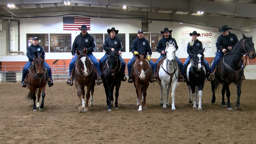 EPSO introduces its equine partners for mounted unit