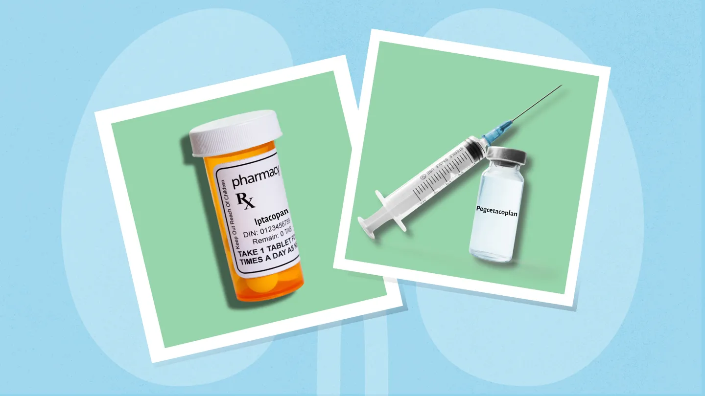 C3G/IC-MPGN progression: Can new C3 inhibitors stop the path to dialysis?