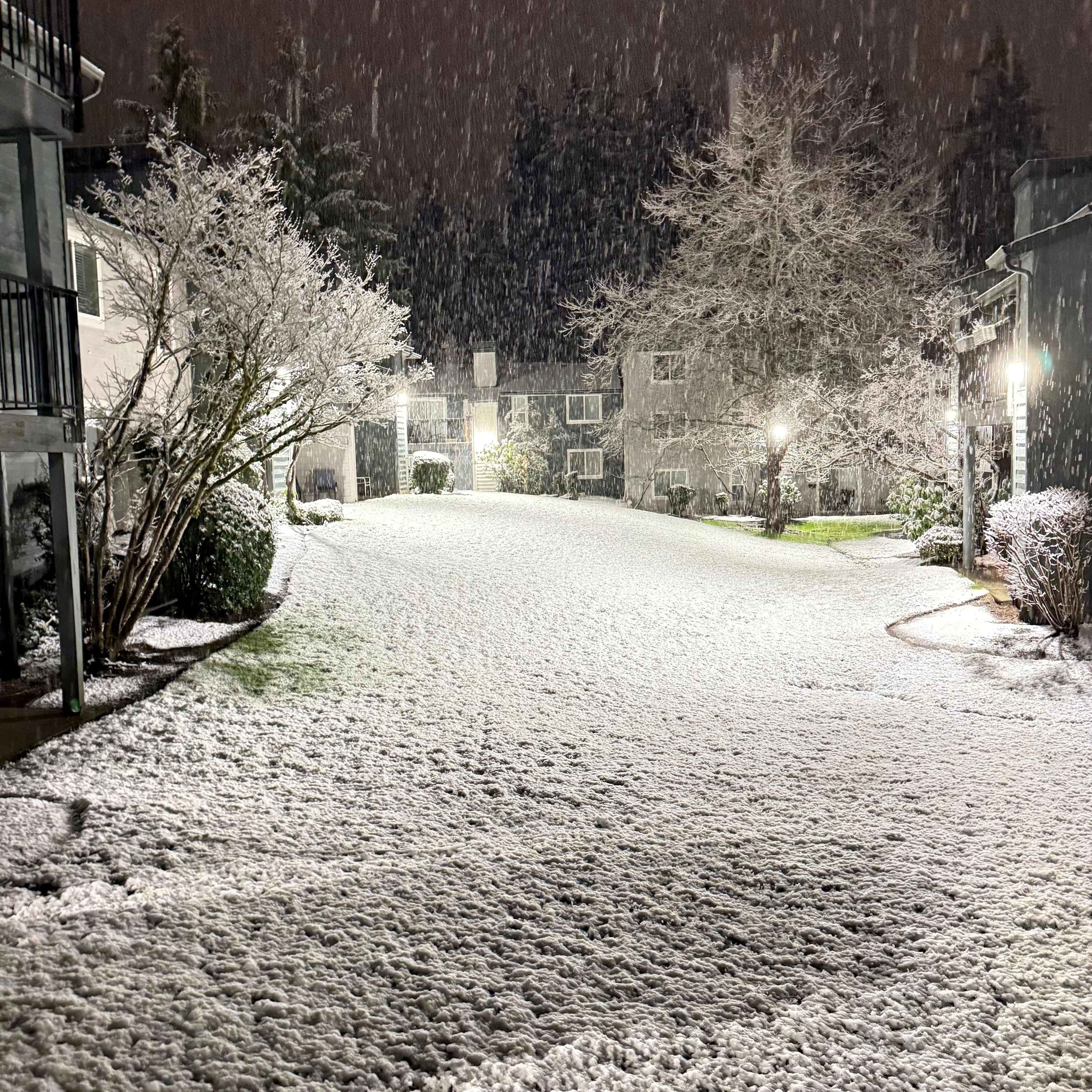 Light snow in WA lowlands creates slushy Friday morning commute