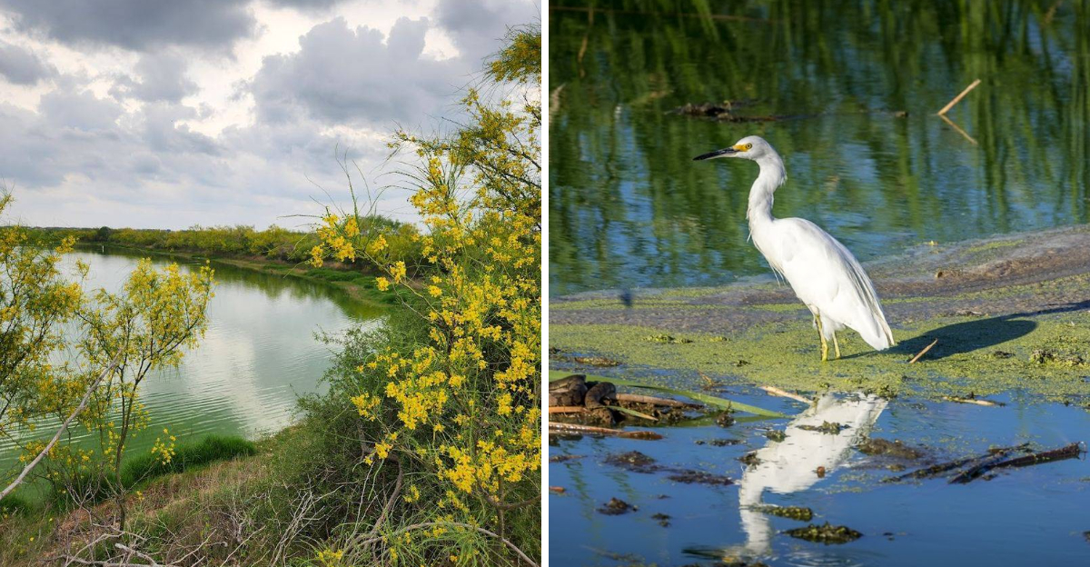A peaceful Texas nature center that feels miles away from the city