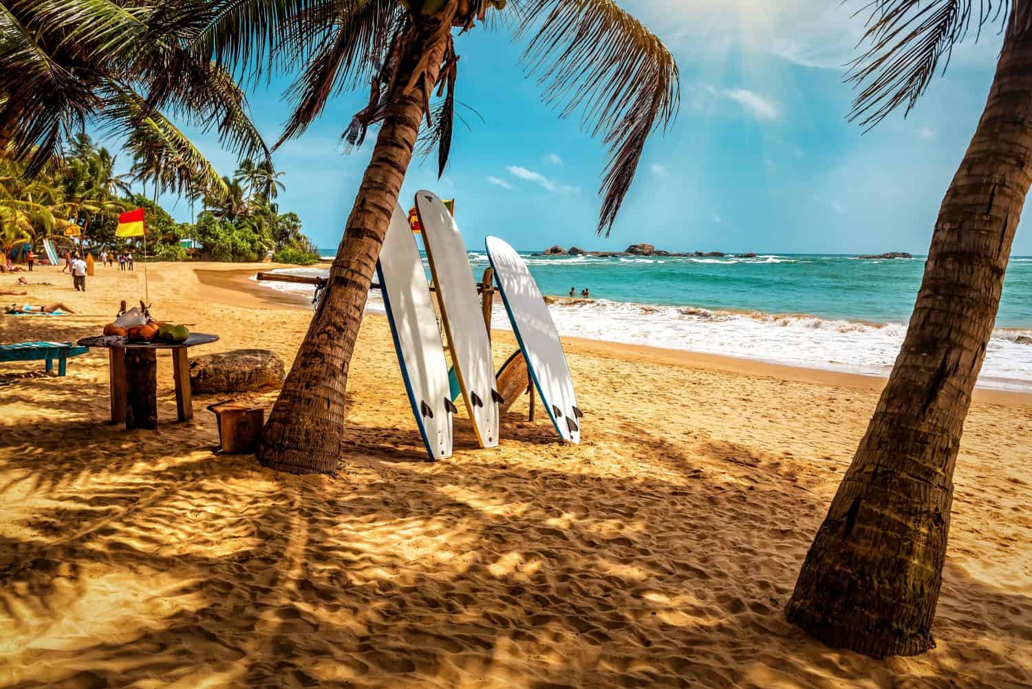 15 of the best spring break destinations in the United States