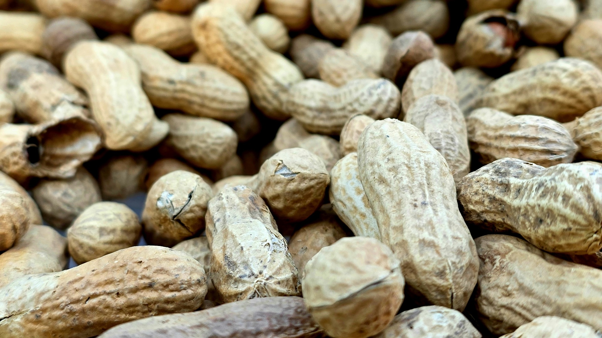 10 most common food allergies & 10 top warning signs to watch out for