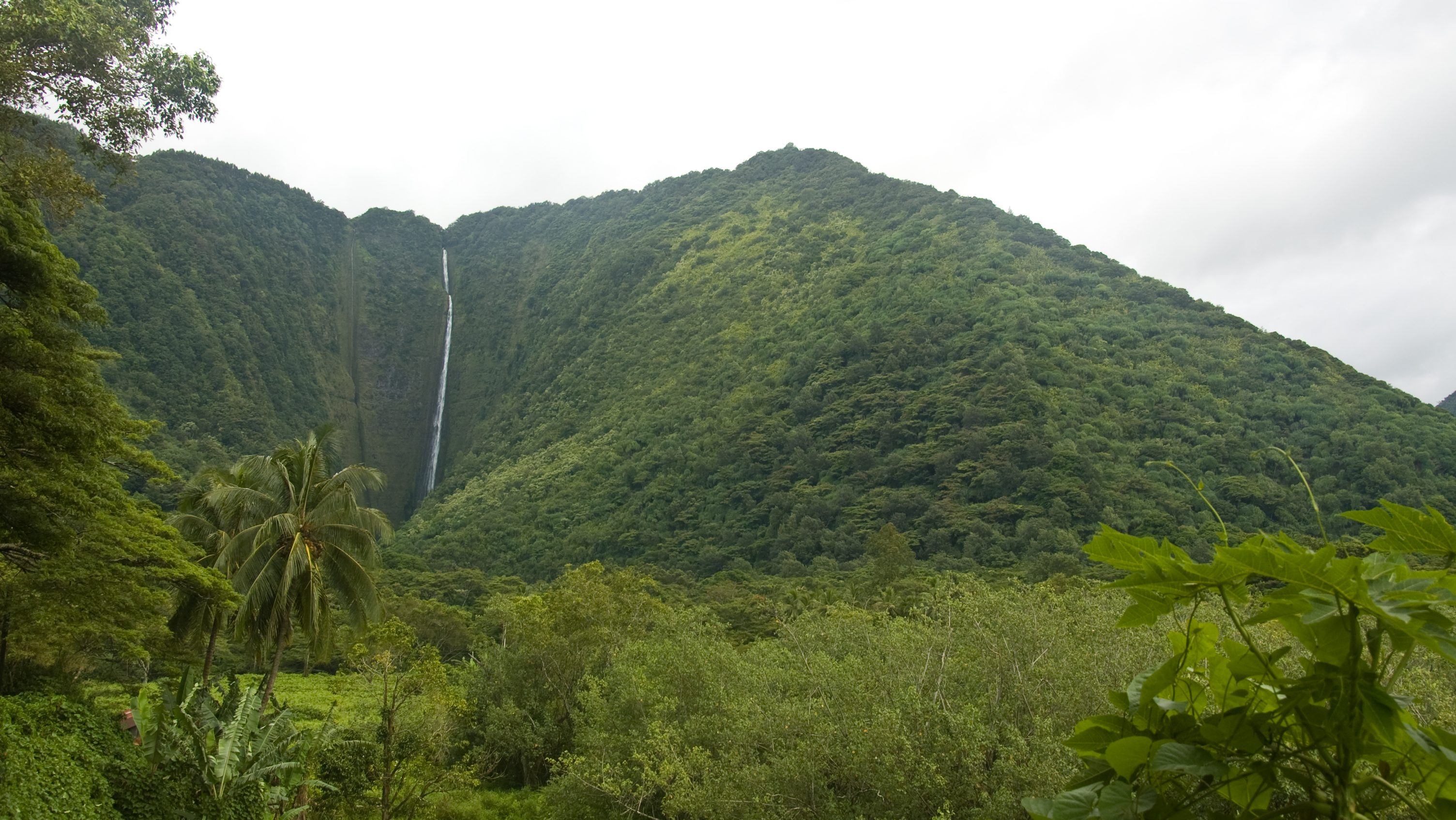 12 best waterfalls in Hawaii, from local favorites to hidden gems