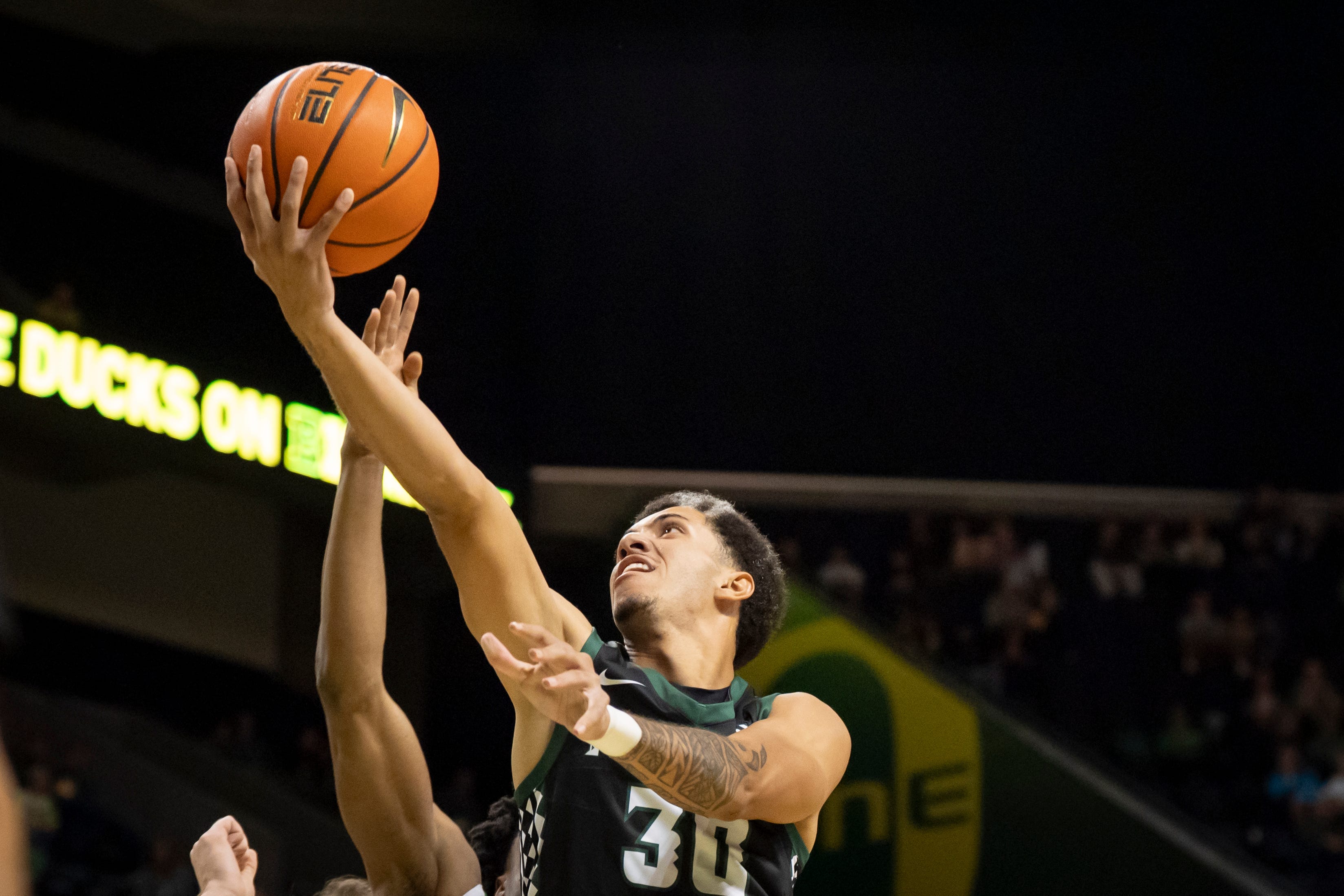 Cal State Fullerton vs. Hawaii: College basketball betting odds, pick