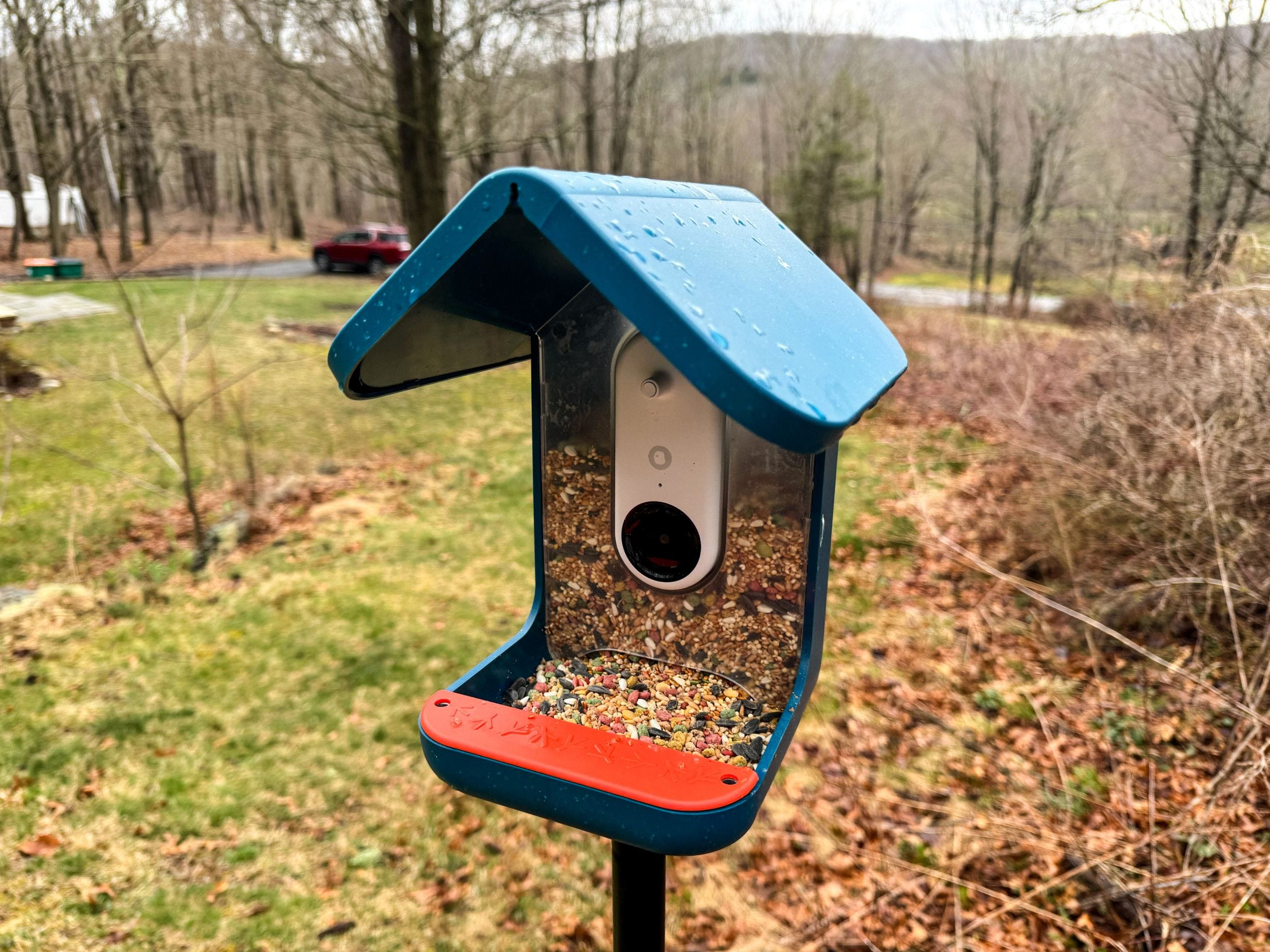 Become an amateur ornithologist in your own backyard with these smart ...