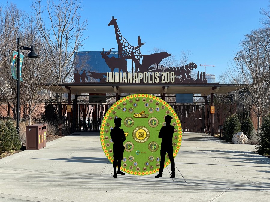 Indy Zoo’s Uproar challenge pits 64 species in head-to-head vote for ...