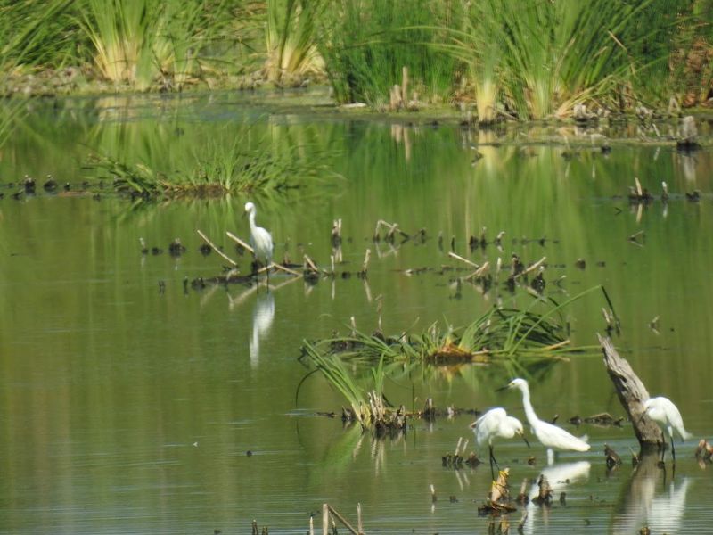 A peaceful Texas nature center that feels miles away from the city
