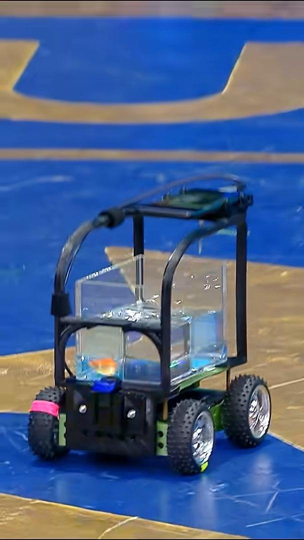 Watch: Goldfish drives custom-built car a record distance in one minute