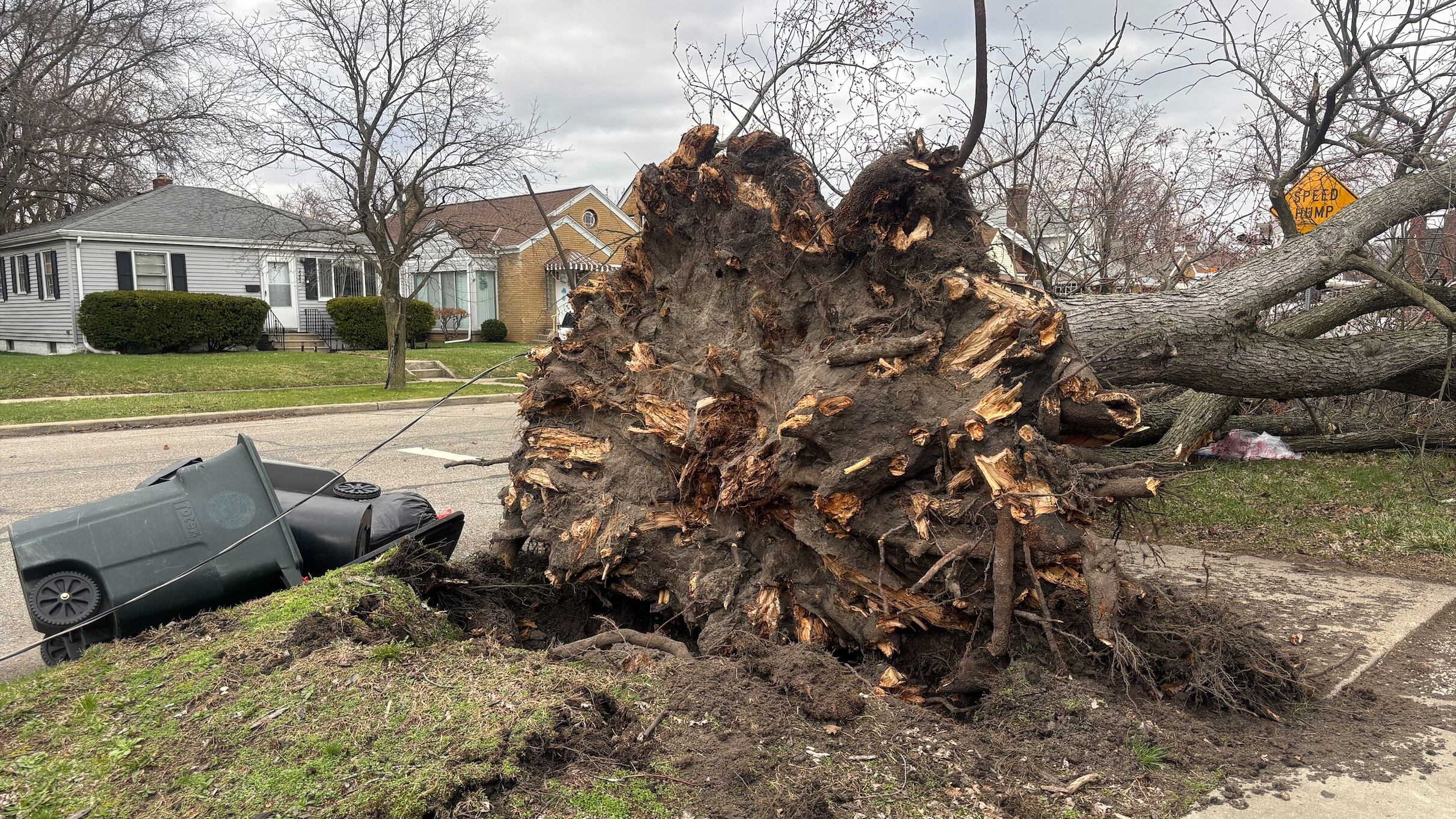 High winds topple trees, cause widespread damage across Michiana