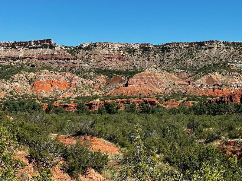 The average Texan has only visited 6 of these 15 incredible places