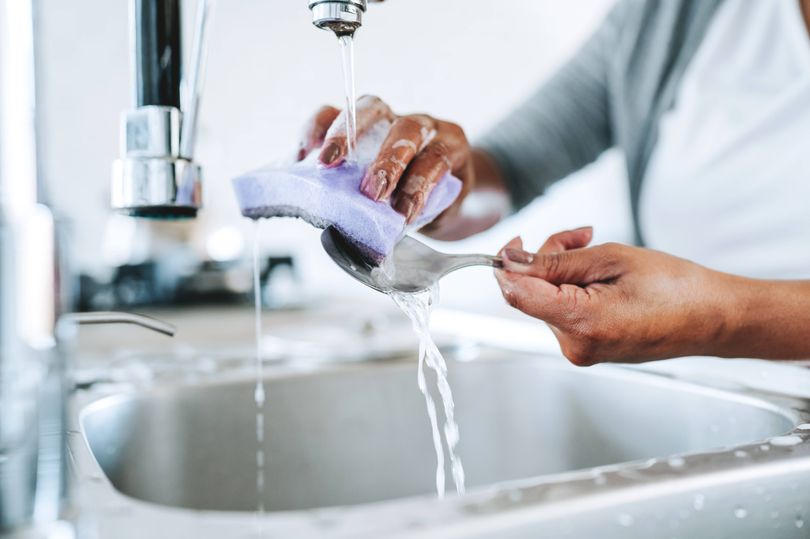 Cleaning expert shares how to sanitise kitchen item 'dirtier than your ...