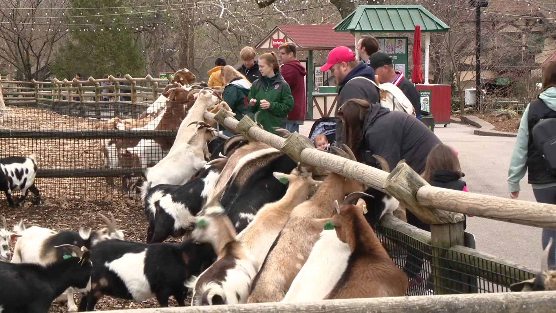 Grant's Farm opens today