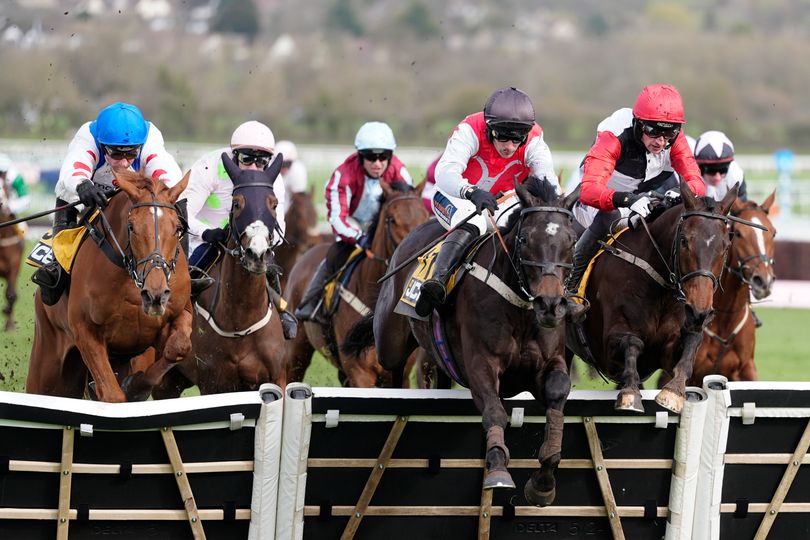 Cheltenham Festival jockeys banned after 50/1 winner as statement given